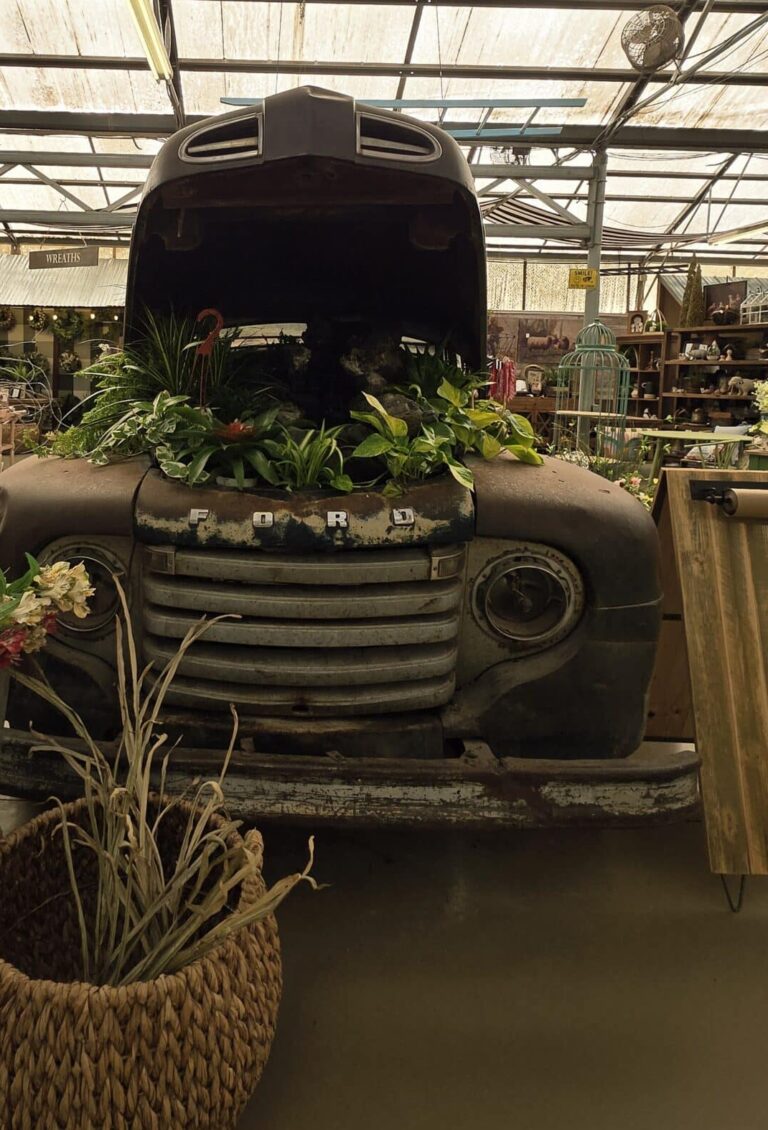 Fruit Trees for Utah Gardens | J&J Garden Center